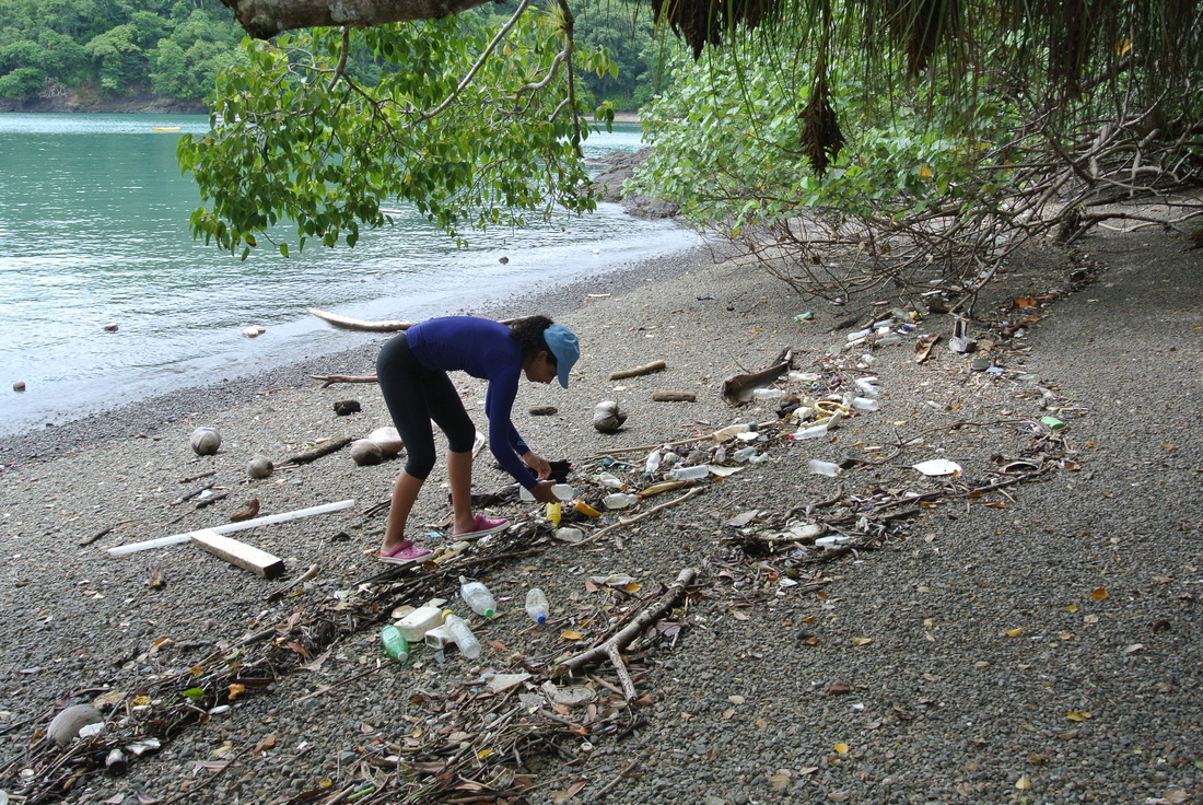 Beach cleanup - Panacetacea