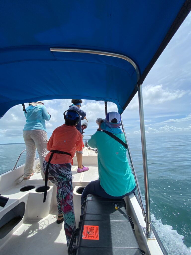 Field Season Bocas del Toro 2022 - Panacetacea