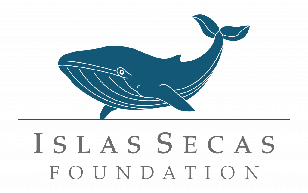 About Us - Panacetacea