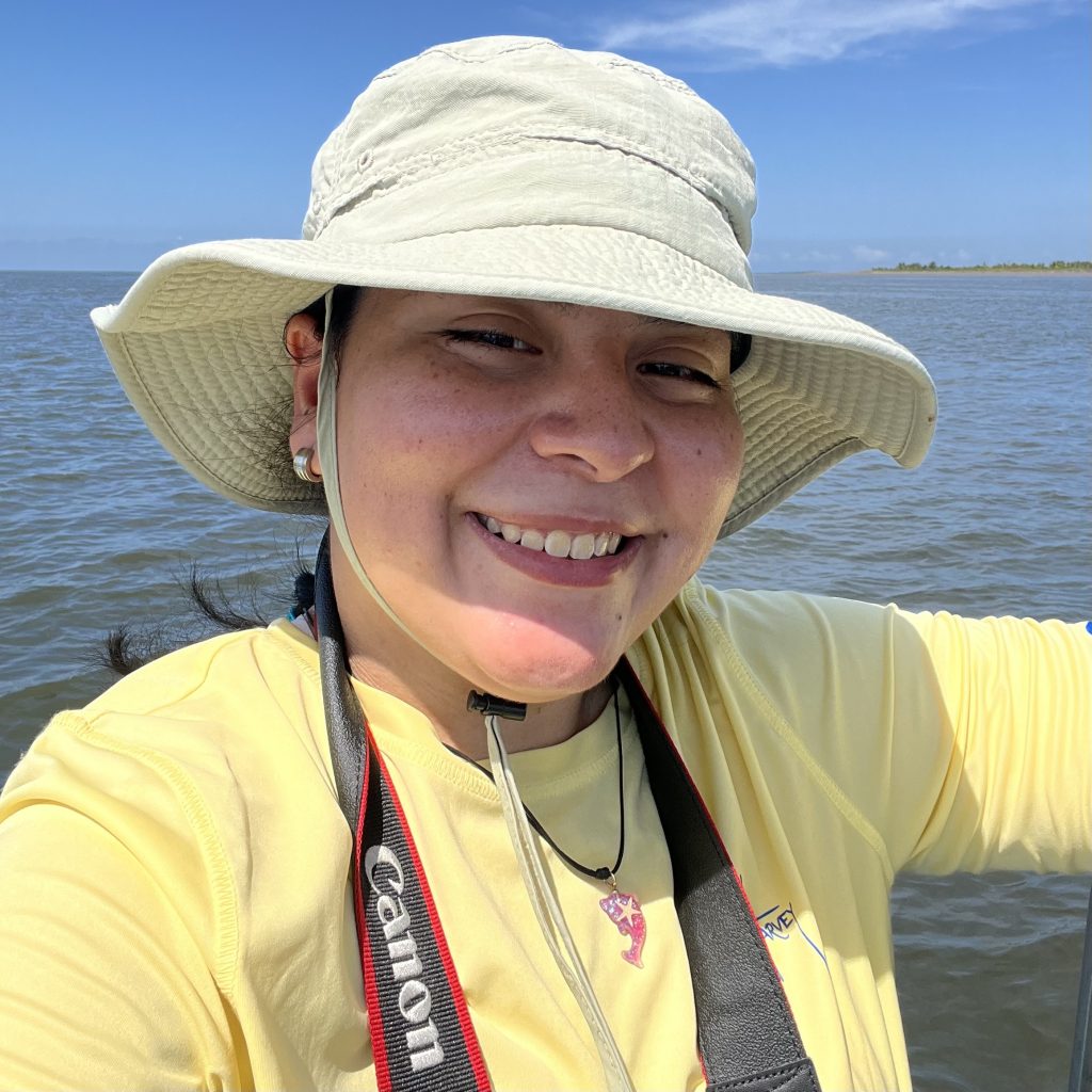 Conservation - Panacetacea